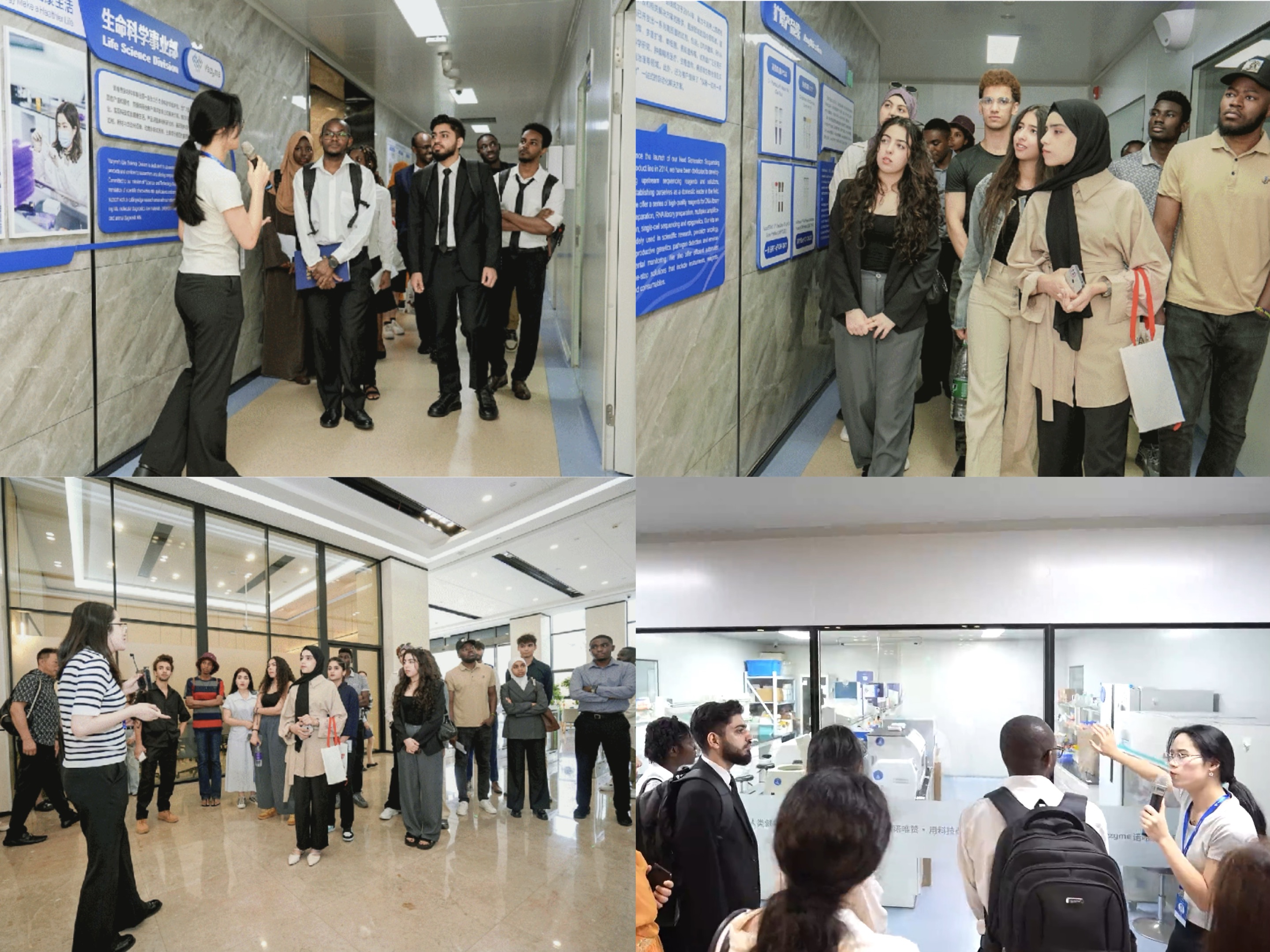 Introducing Vazyme Future Talent Pool